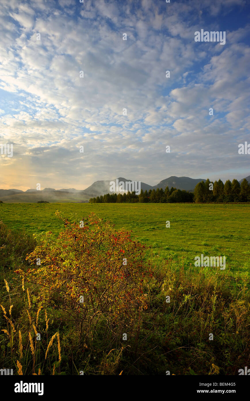 Autumn meadows in sunset vertical format Stock Photo - Alamy