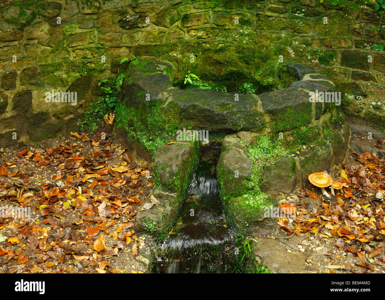 Wishing well hi-res stock photography and images - Alamy