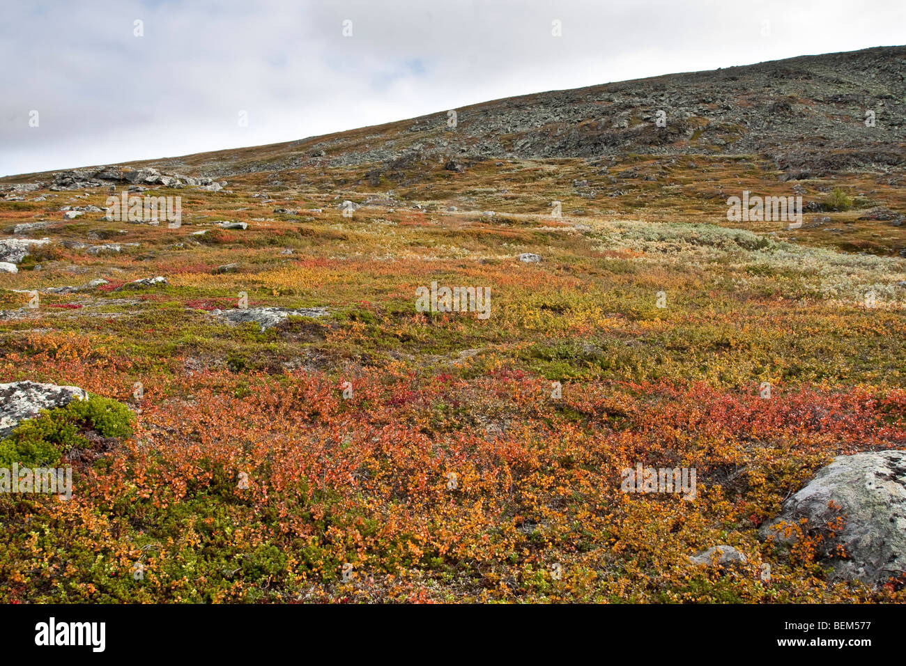 Sarek National Park Stock Photo - Alamy