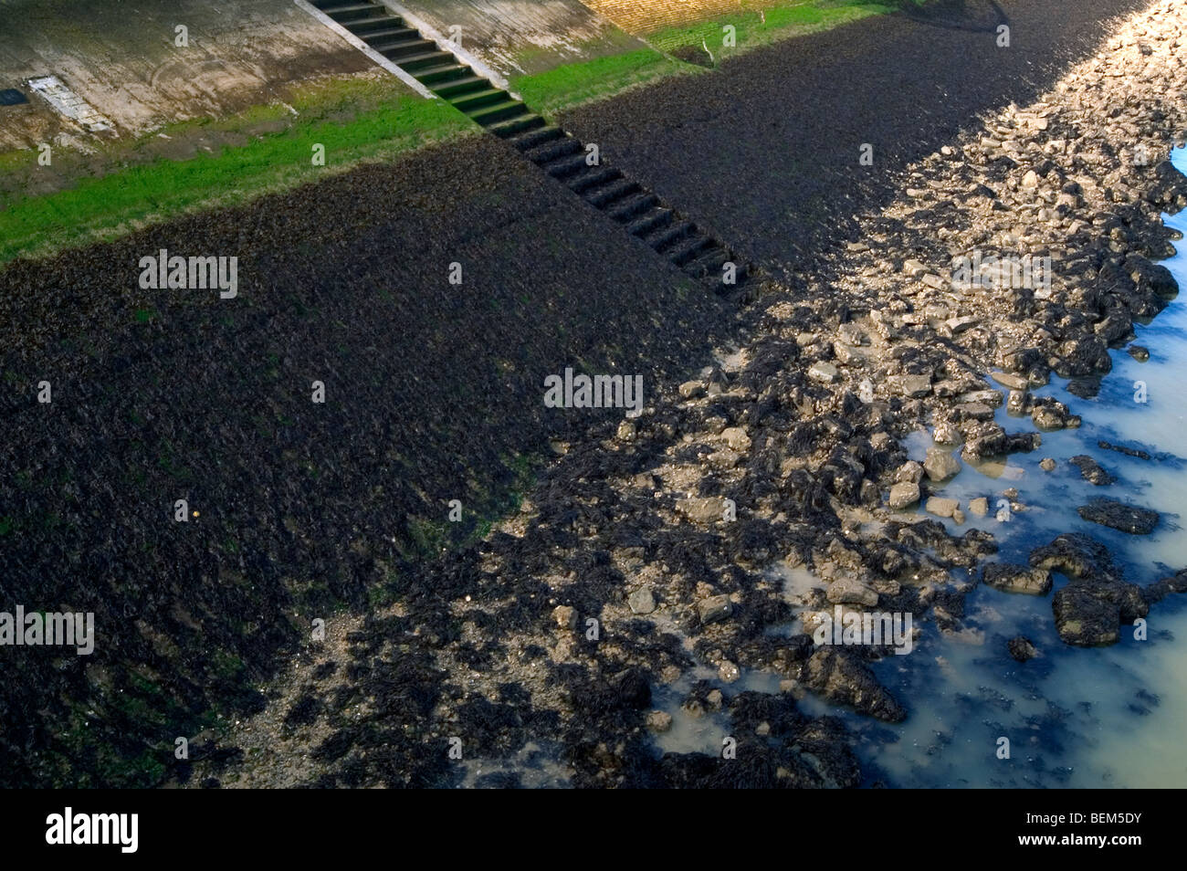 Tidal marks in harbour formed by alga and seaweed, Nieuport, Belgium ...