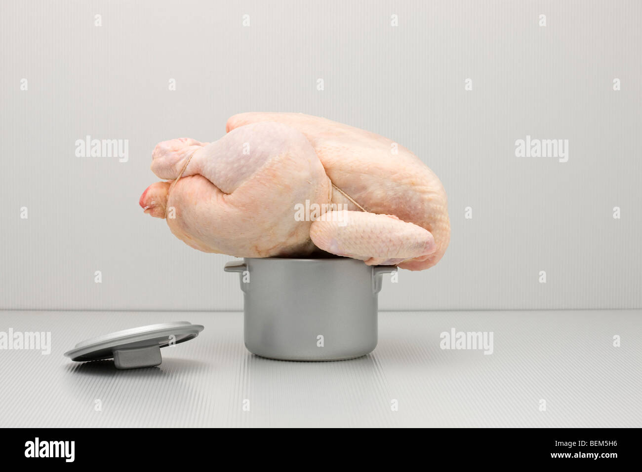 Genetic engineering chickens hi-res stock photography and images - Alamy
