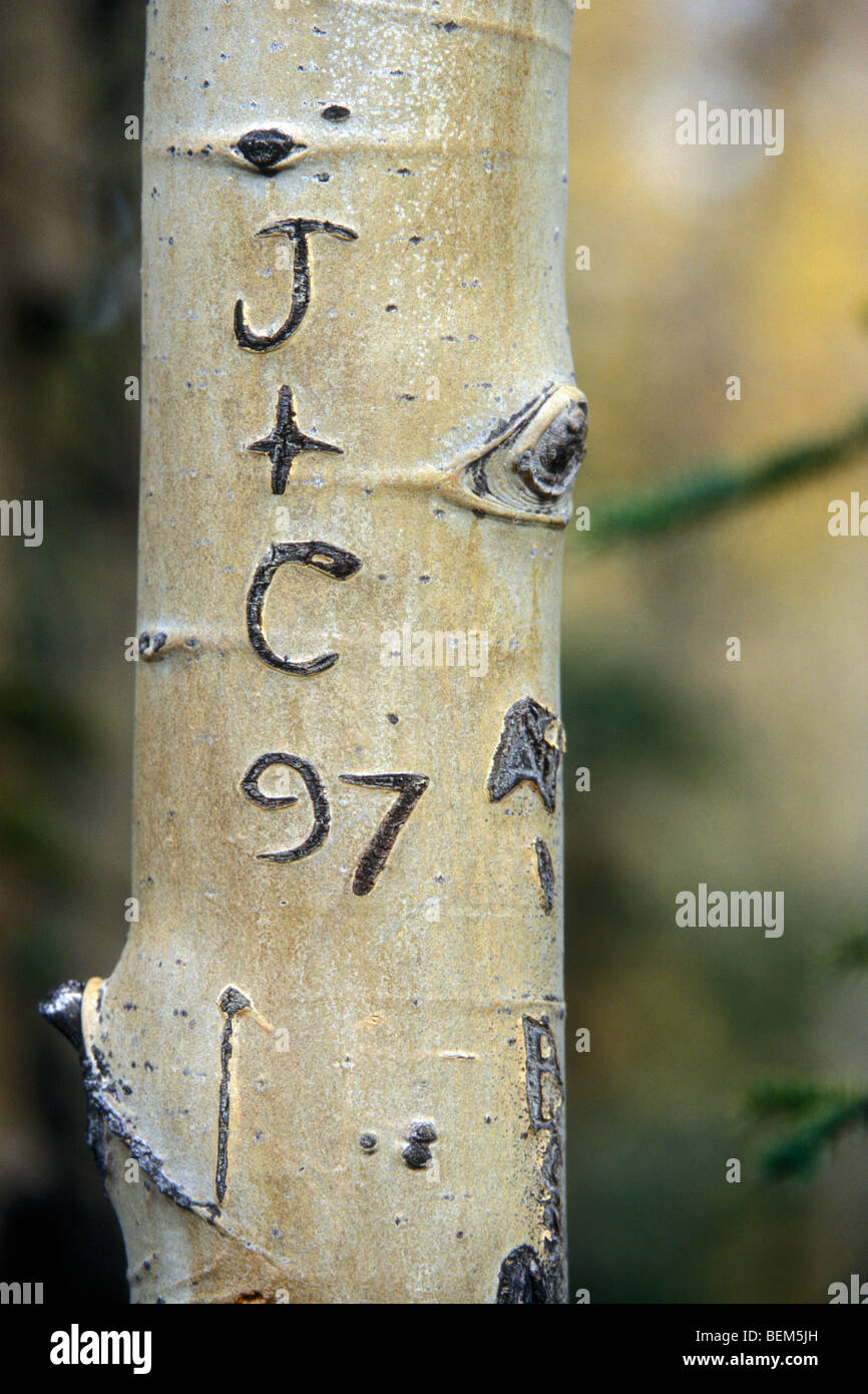 Graffiti on tree Stock Photo - Alamy