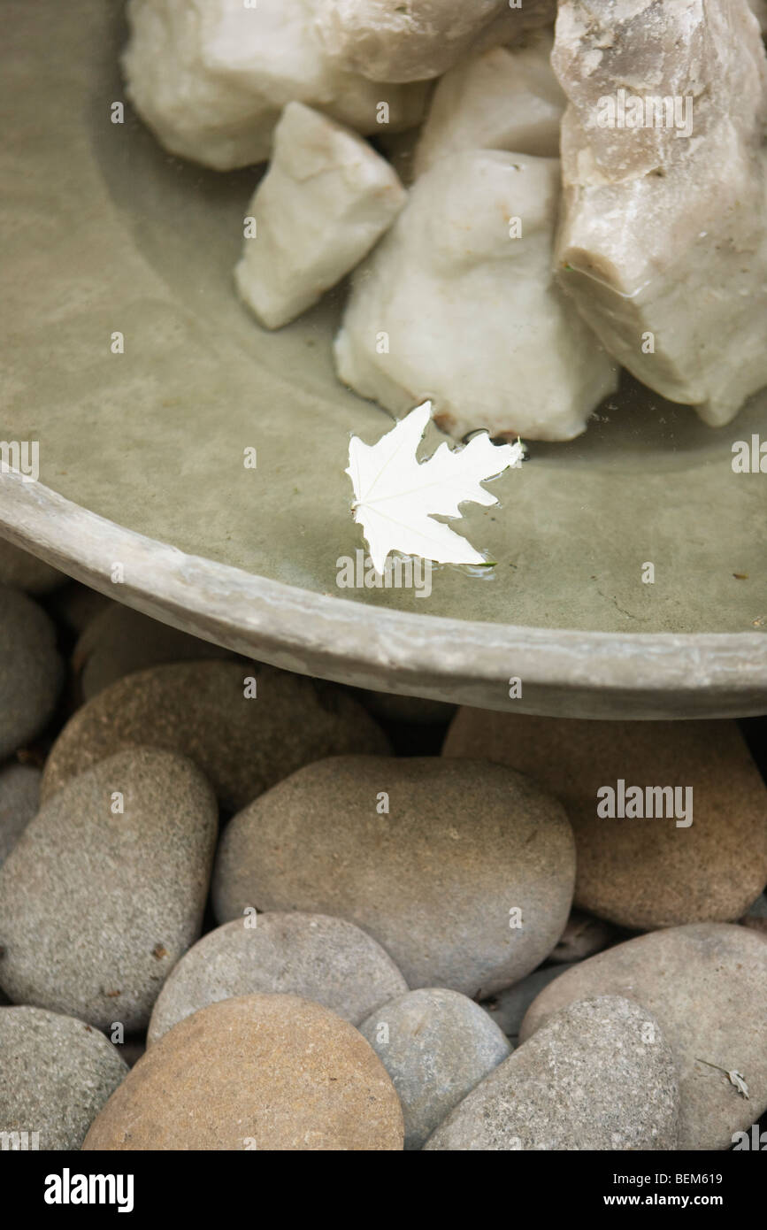 Leaf floating in water flowing around rocks in fountain bowl Stock ...
