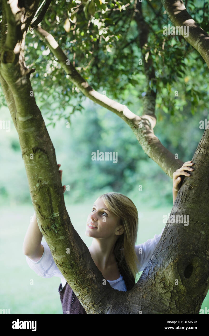 Smiling woman behind tree Stock Photo - Alamy
