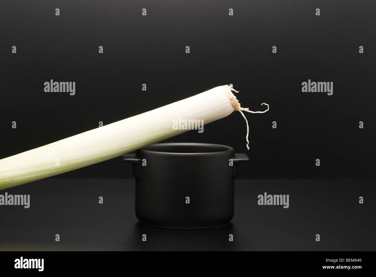 Miniature leeks hi-res stock photography and images - Alamy