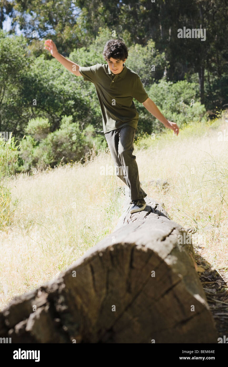 Tree log balance balanced balancing hi-res stock photography and images ...