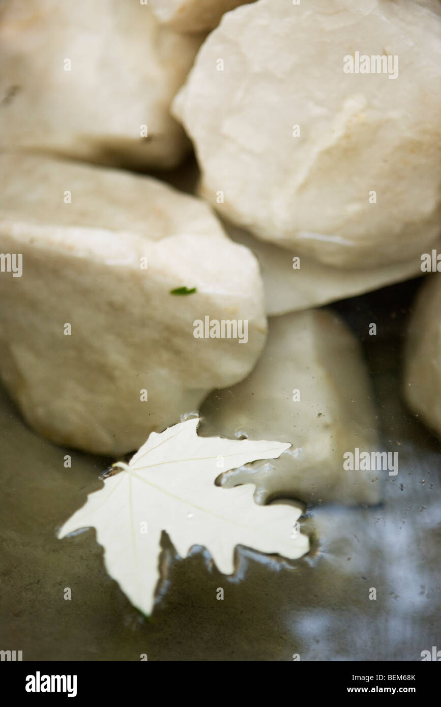 Leaf floating on water flowing past rocks Stock Photo - Alamy