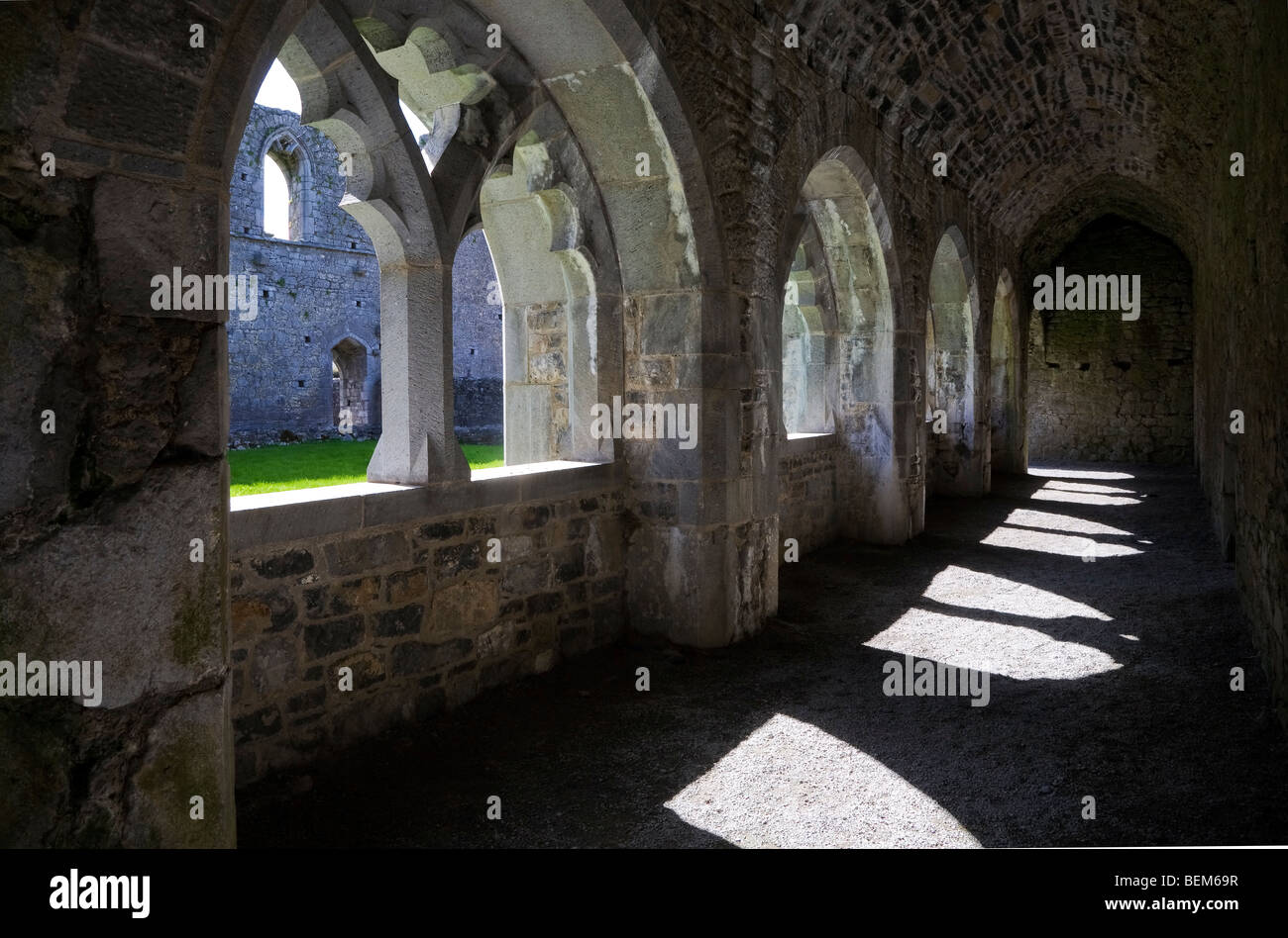 The Cloisters in Killmallock 13th Century Dominican Friary, Co Limerick ...