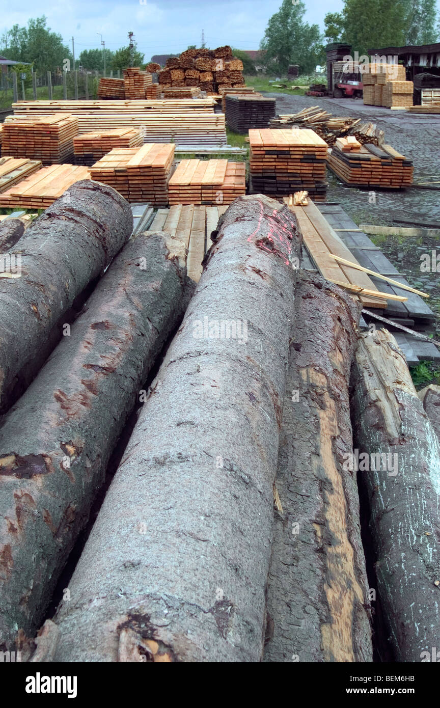 Trees being processed in sawmill into planks, Belgium Stock Photo - Alamy