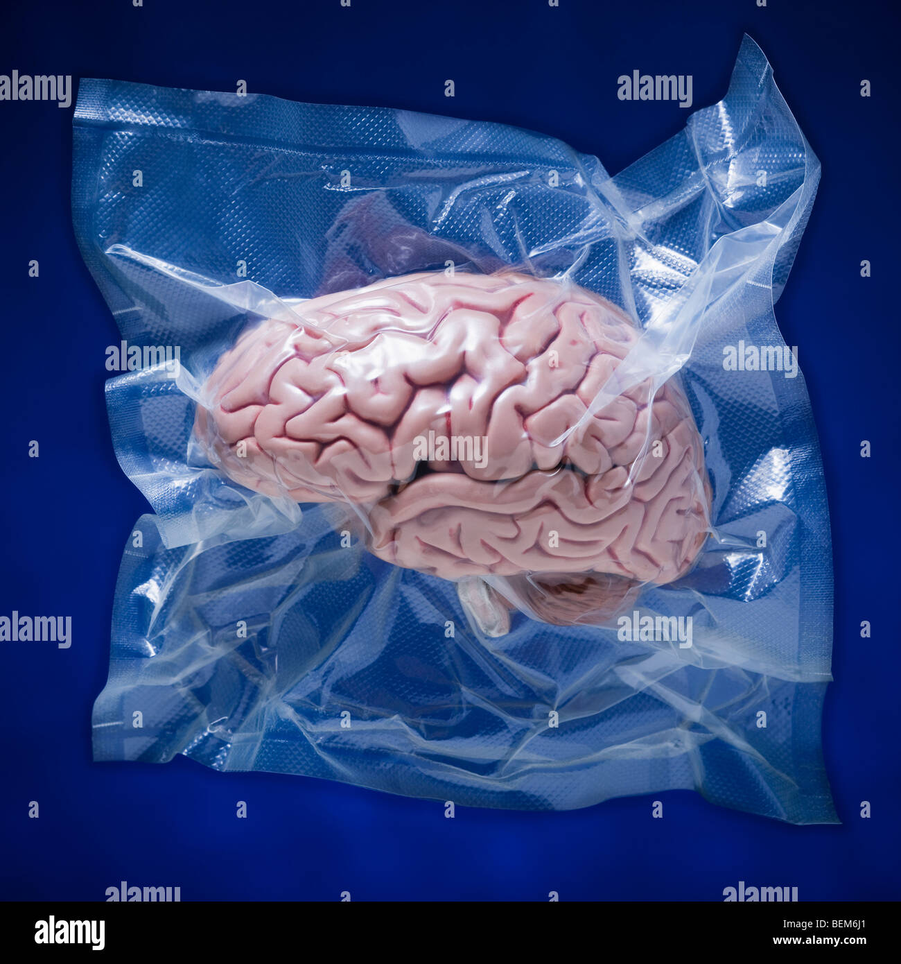 Plastic brain hi-res stock photography and images - Alamy
