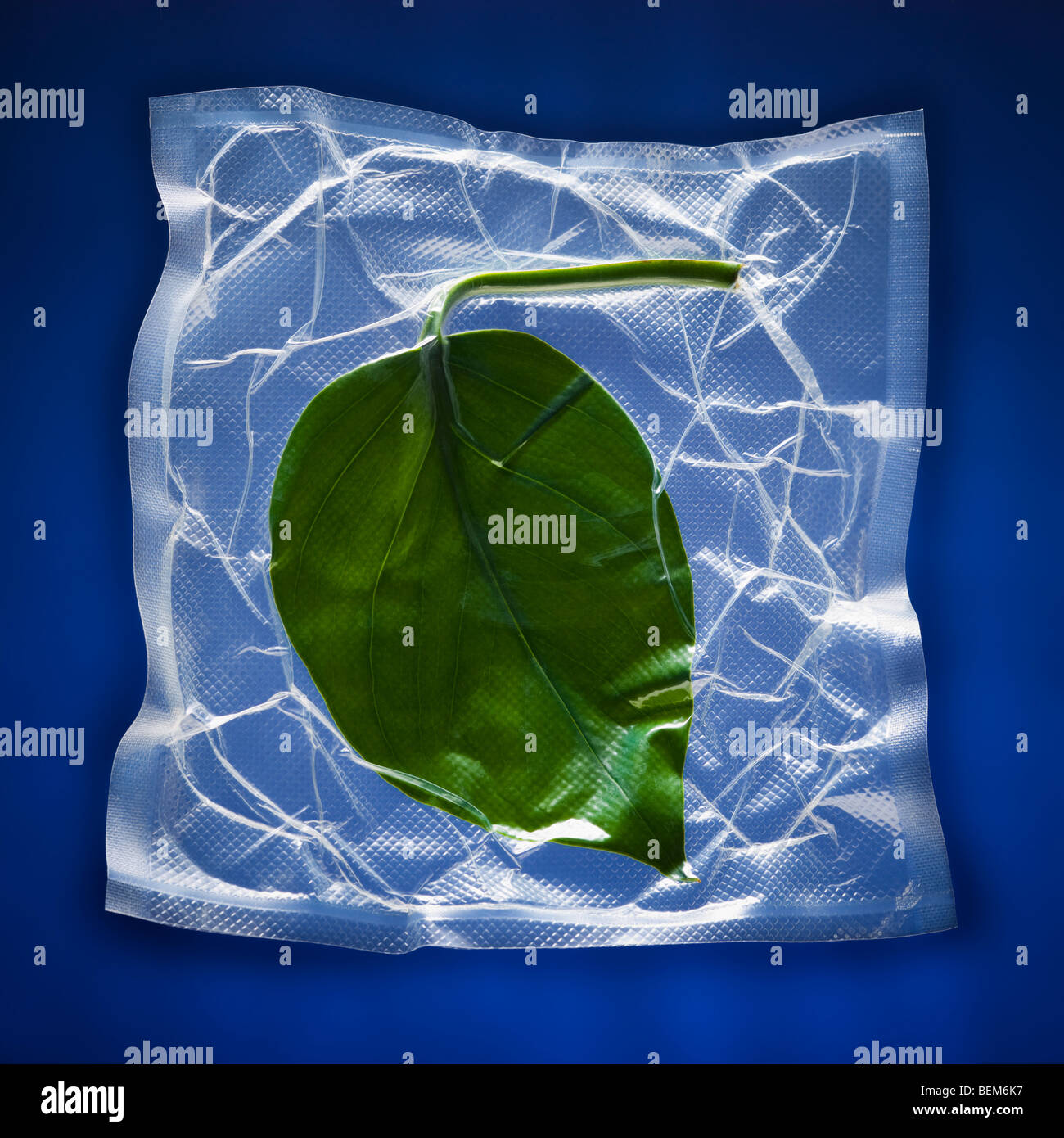 Vacuum sealed containers hi-res stock photography and images - Alamy