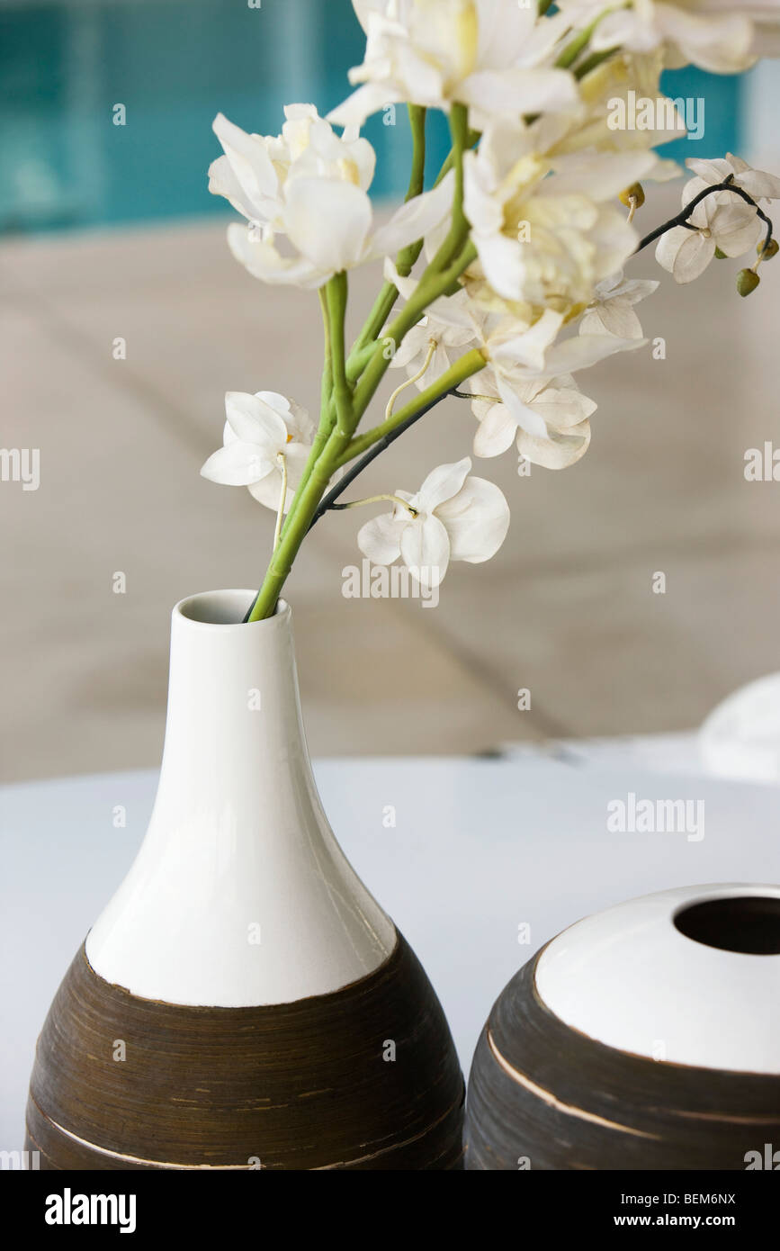 White flowers in ceramic vase Stock Photo - Alamy