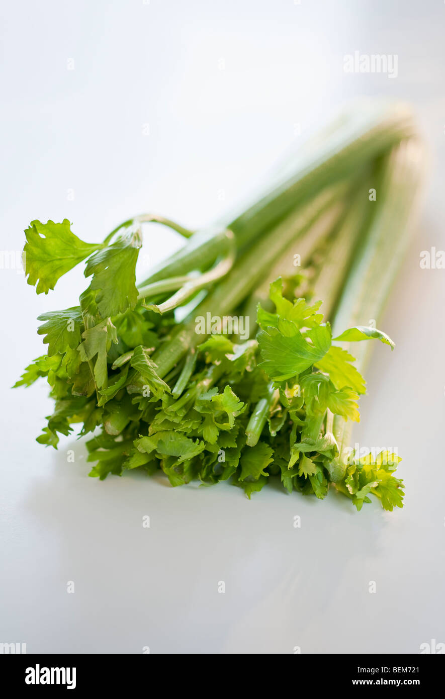 Celery hi-res stock photography and images - Alamy