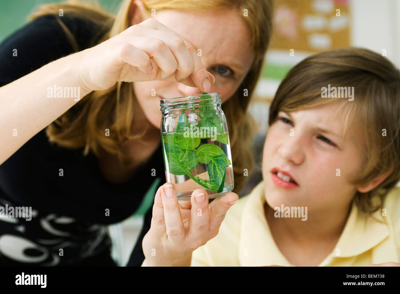 Elementary teacher showing student plant specimen in jar Stock Photo ...