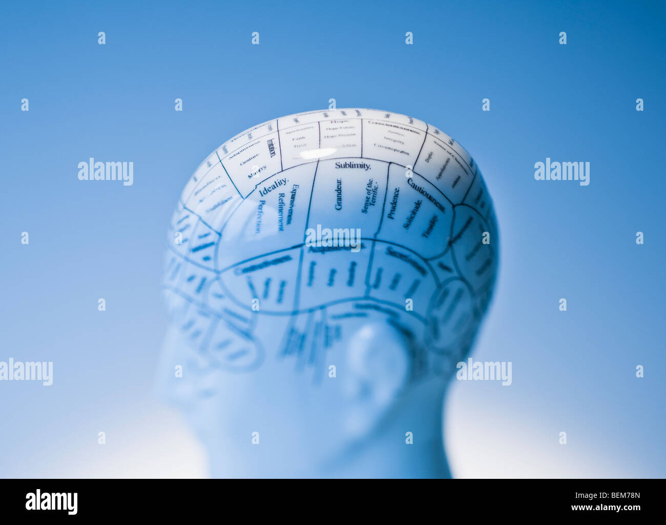 Human brain hi-res stock photography and images - Alamy