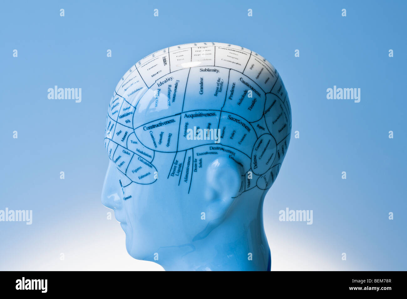 Brain mapping hi-res stock photography and images - Alamy