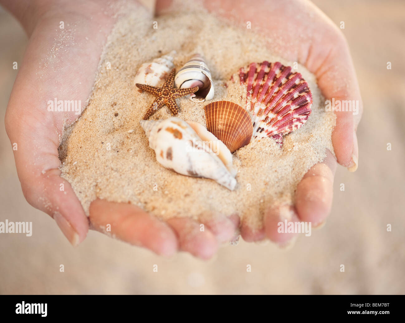 Shells in hand Stock Photo - Alamy