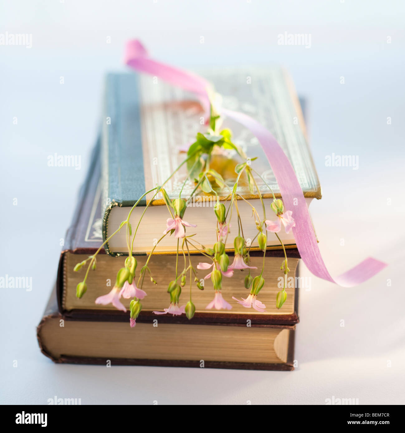 Antique images hi-res stock photography and images - Alamy