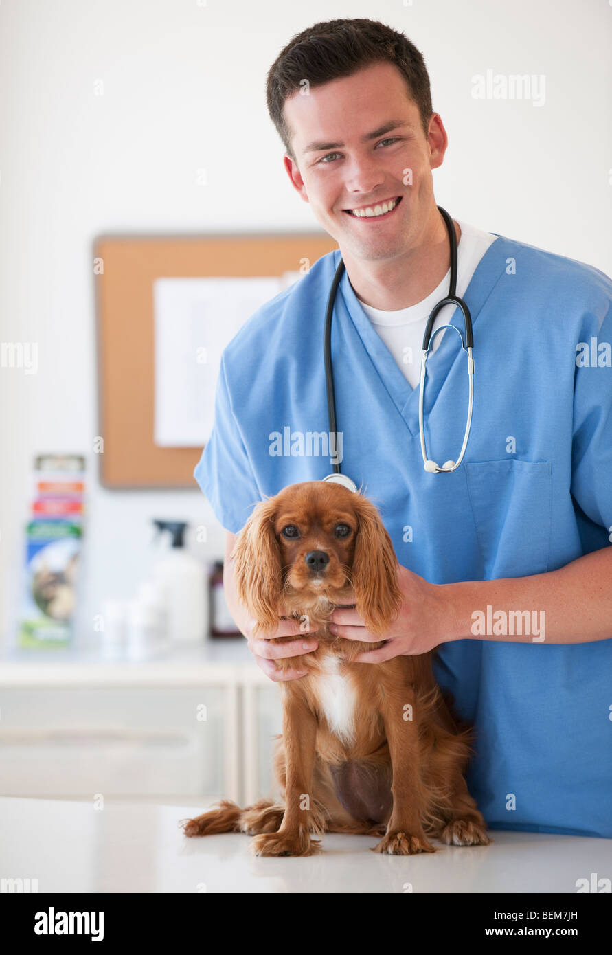 Vet hi-res stock photography and images - Alamy