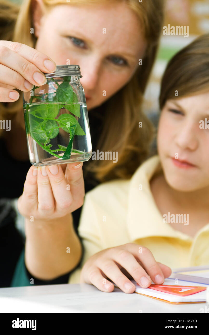 Kids classroom plants hi-res stock photography and images - Alamy