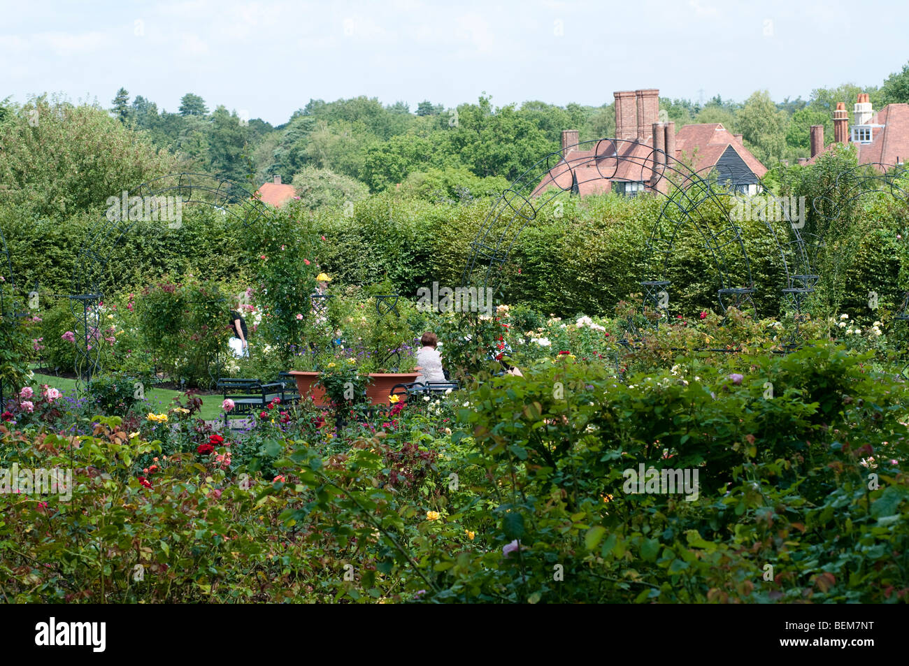 Wisley garden, surrey hi-res stock photography and images - Alamy