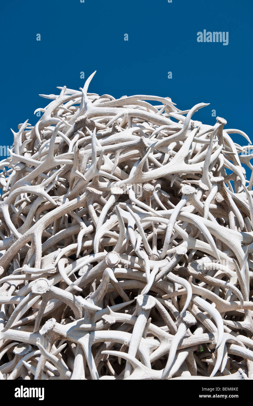 Pile of Antlers Stock Photo - Alamy