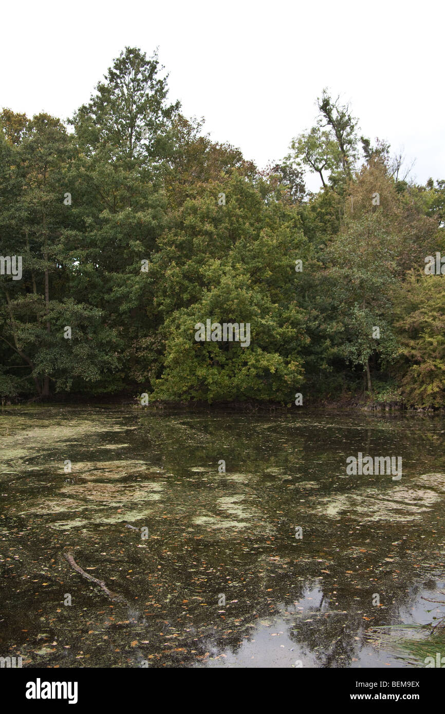 Wanstead Park, London, England Stock Photo - Alamy