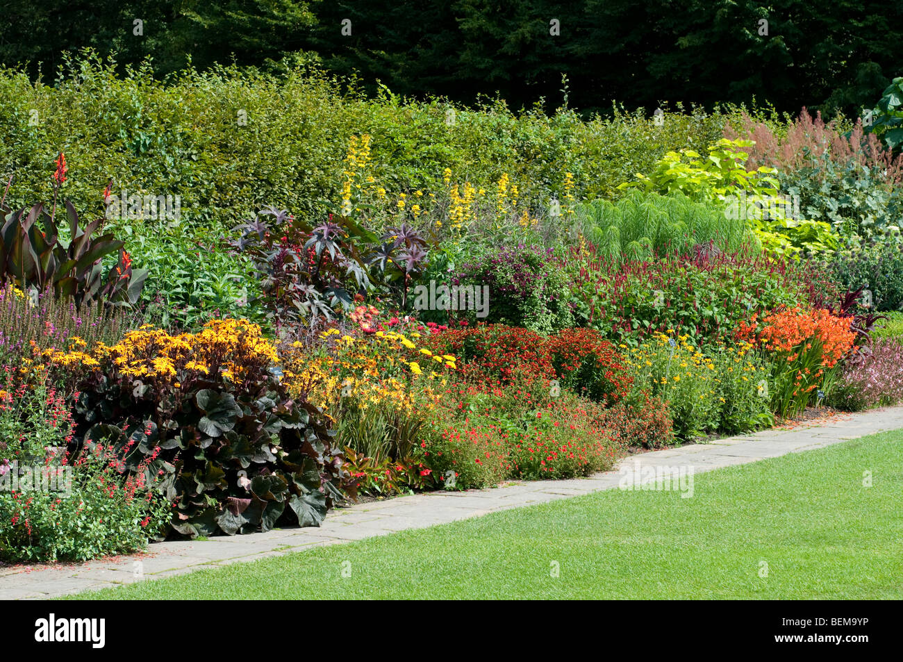 Intense border hi-res stock photography and images - Alamy
