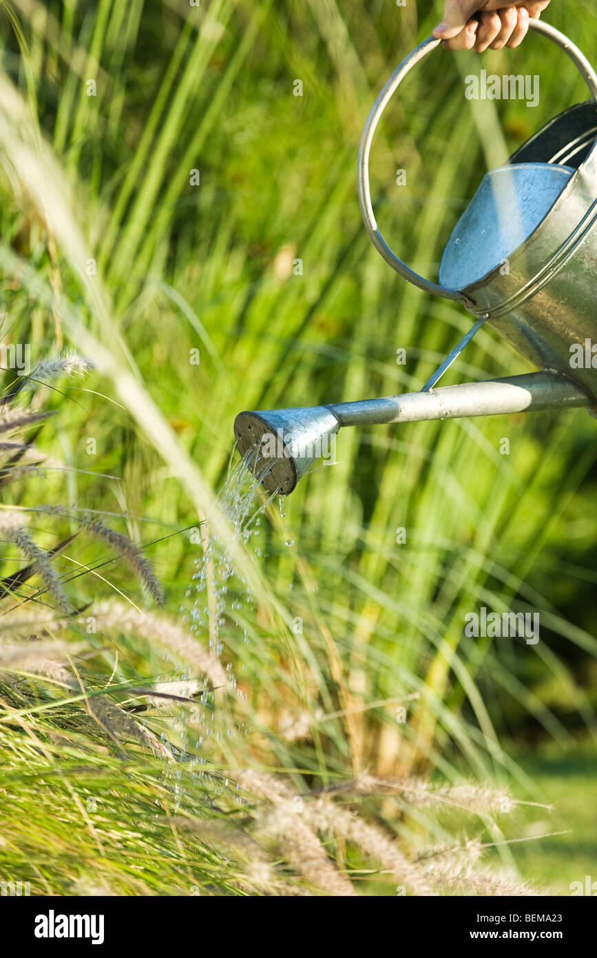 Watering Can Partial View High Resolution Stock Photography and Images ...