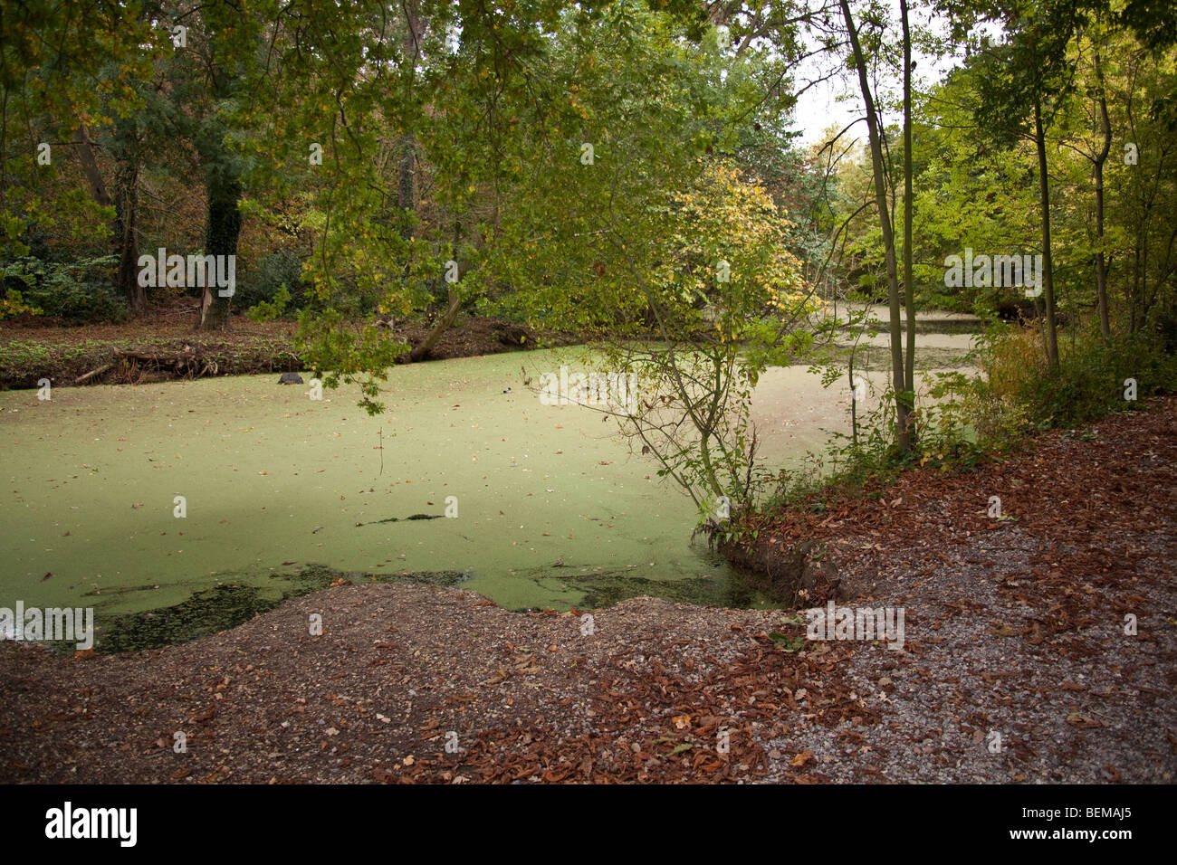 Wanstead Park, London, England Stock Photo - Alamy