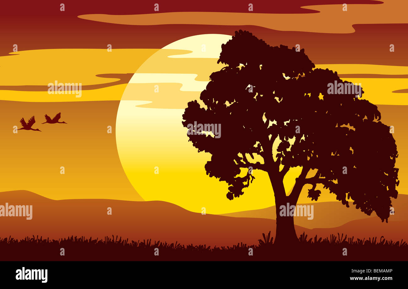 Alone oak tree and red cloudy sunset Stock Photo - Alamy