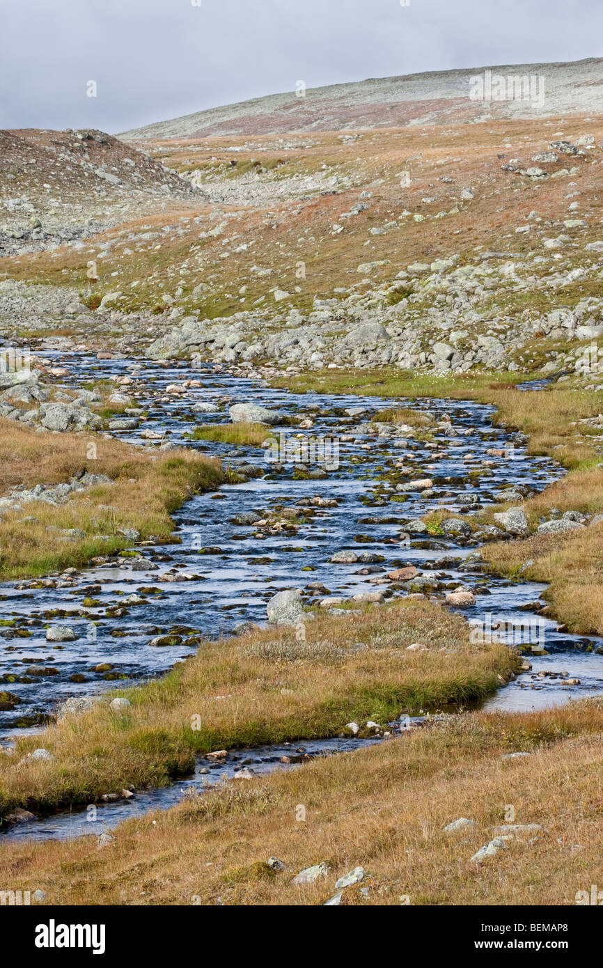 Sarek National Park Stock Photo - Alamy