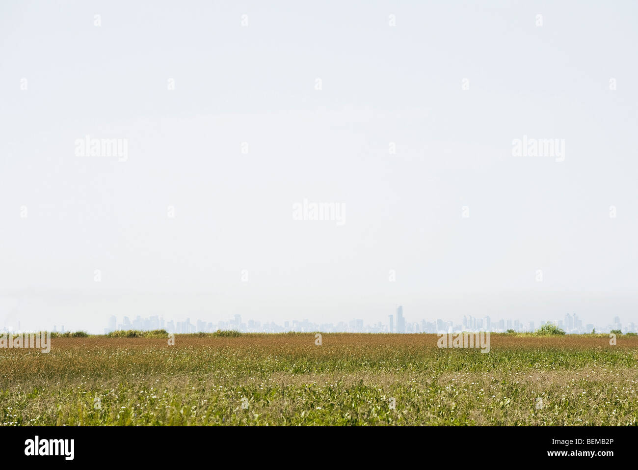 Field, smog obscured city skyline in distance Stock Photo - Alamy