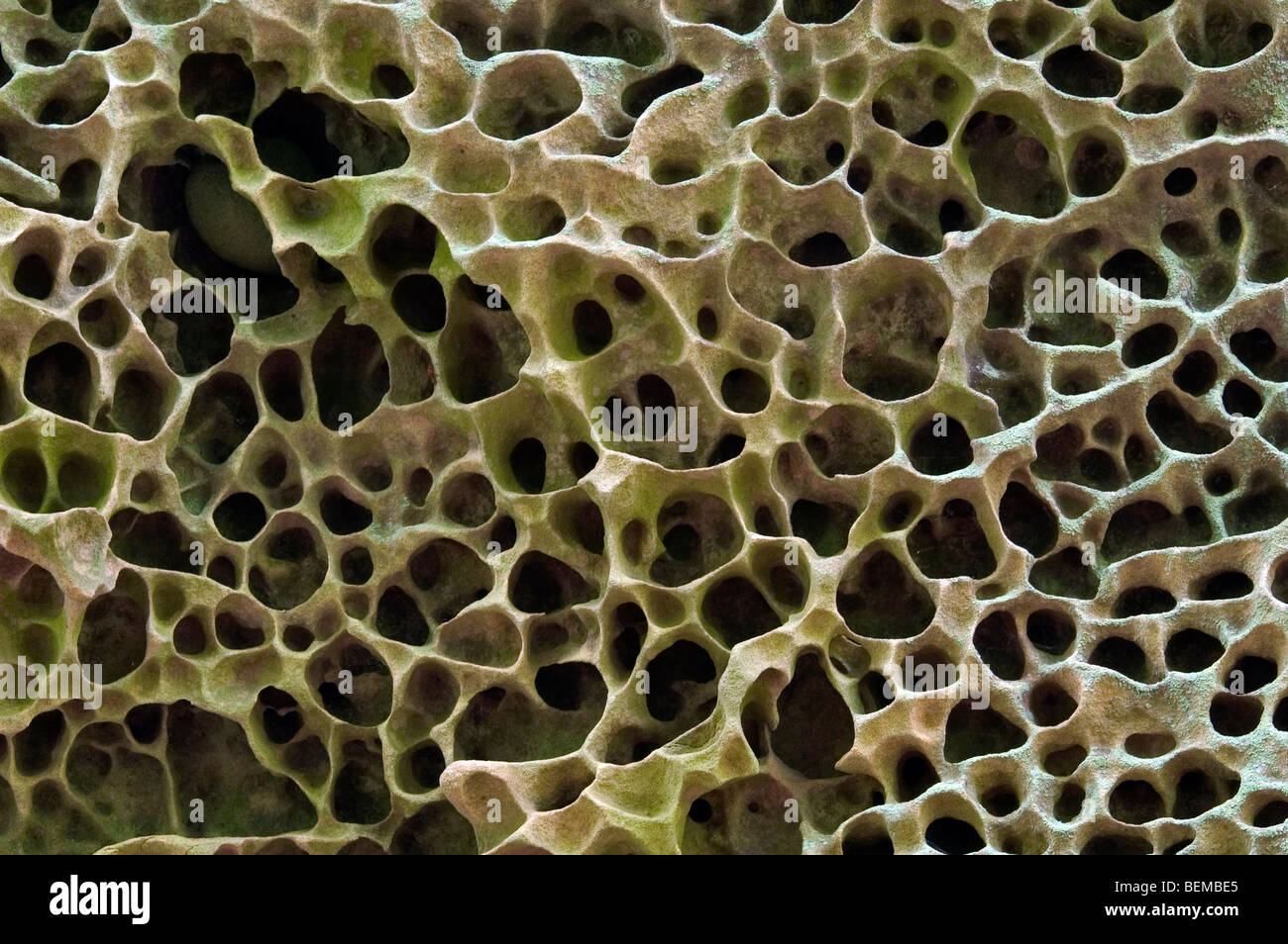 Honeycomb erosion hi-res stock photography and images - Alamy