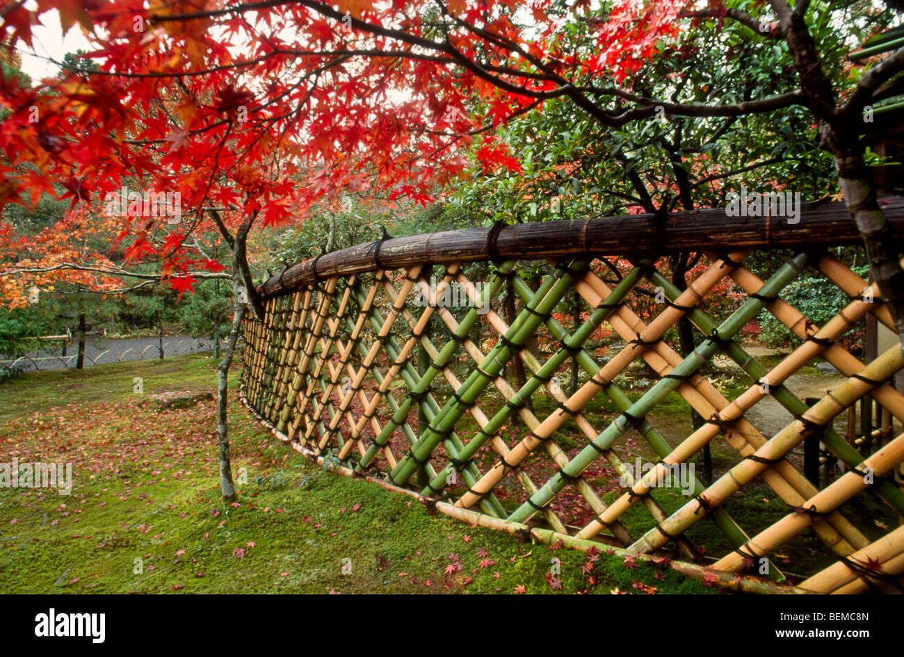 Detail of Koetsu-style bamboo fence in autumn, Koetsu-ji (temple ...