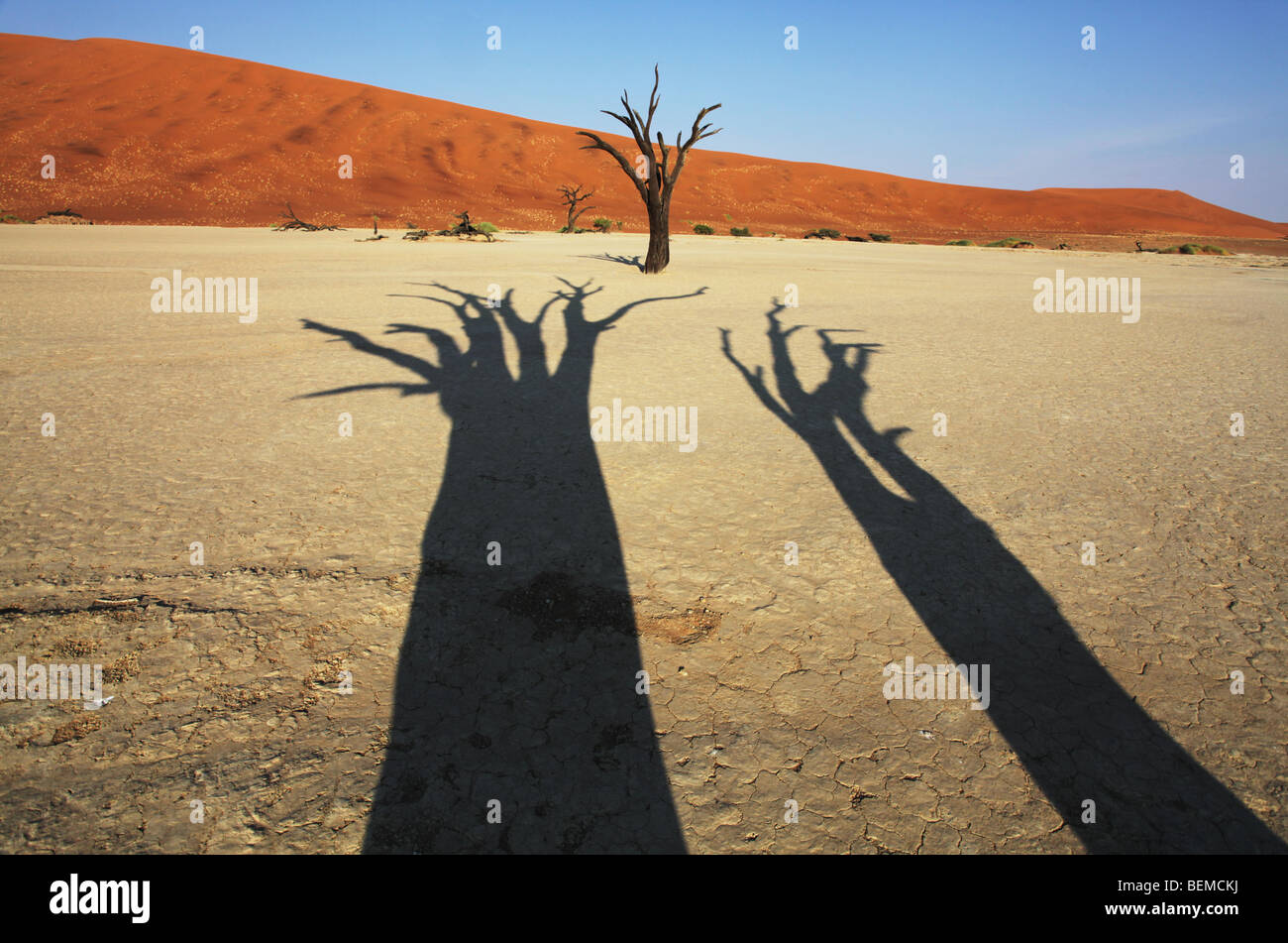 Dead valley in Namibia Stock Photo - Alamy