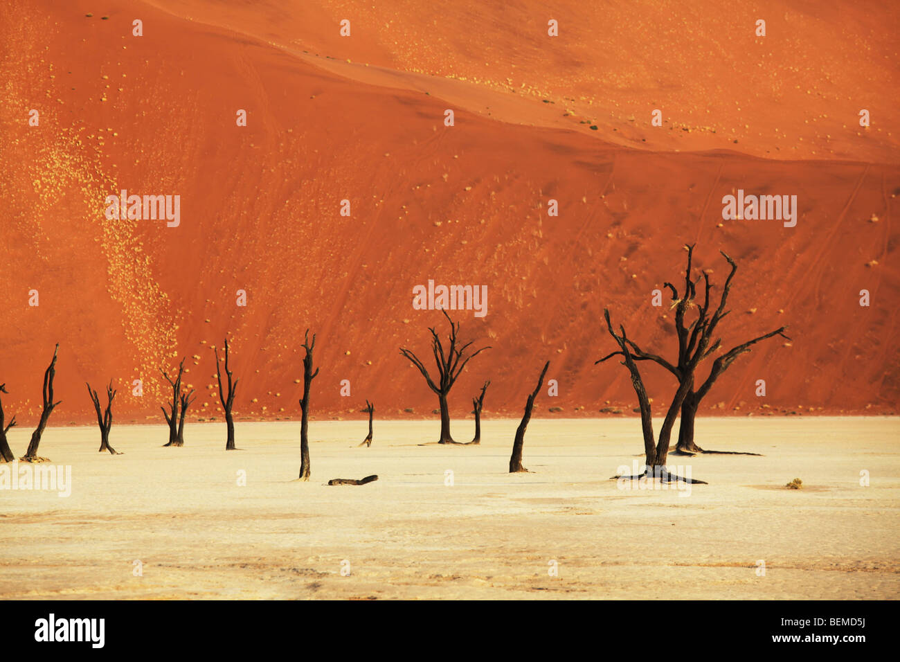 Dead valley in Namibia Stock Photo - Alamy