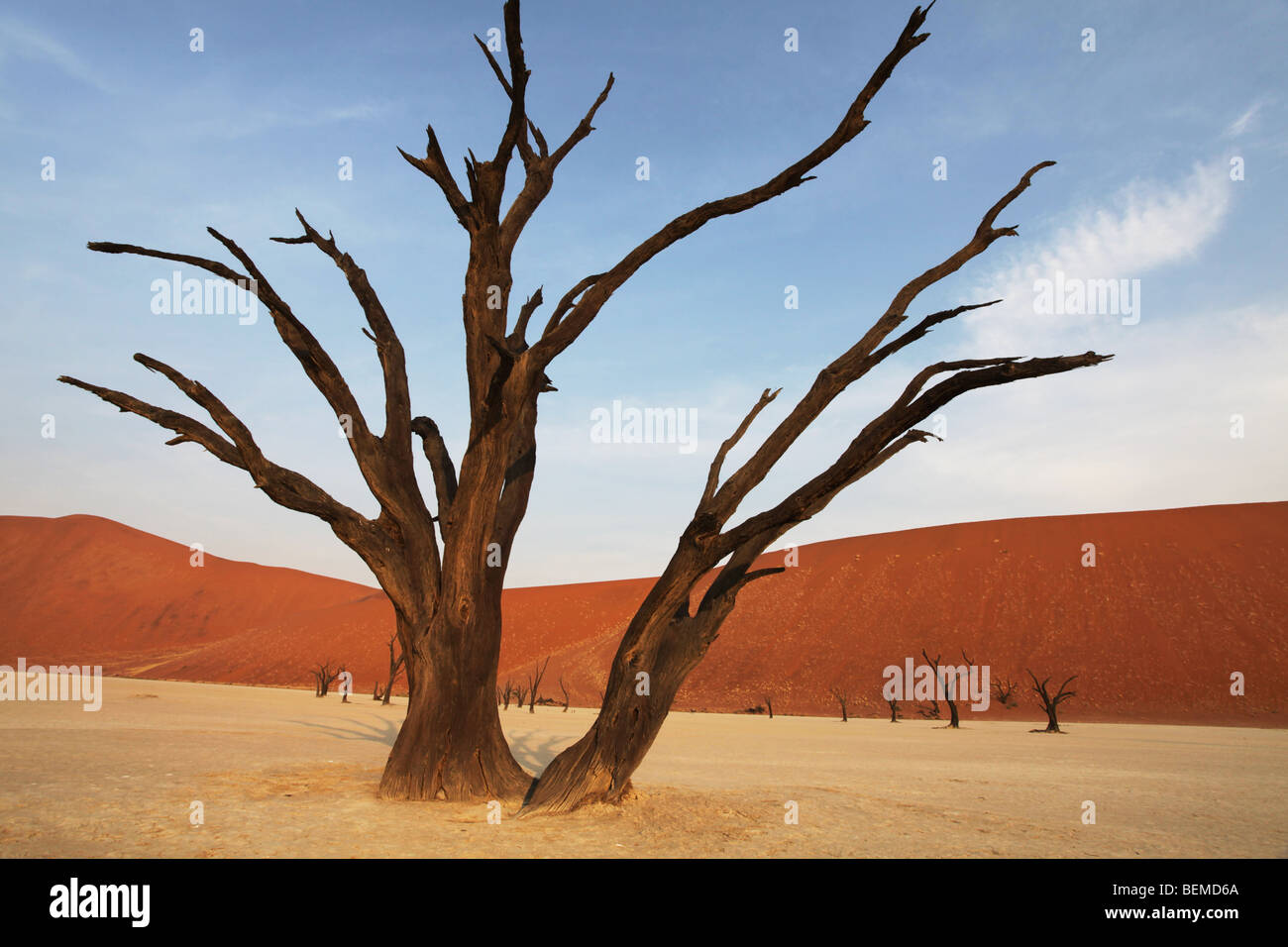 Dead valley in Namibia Stock Photo - Alamy