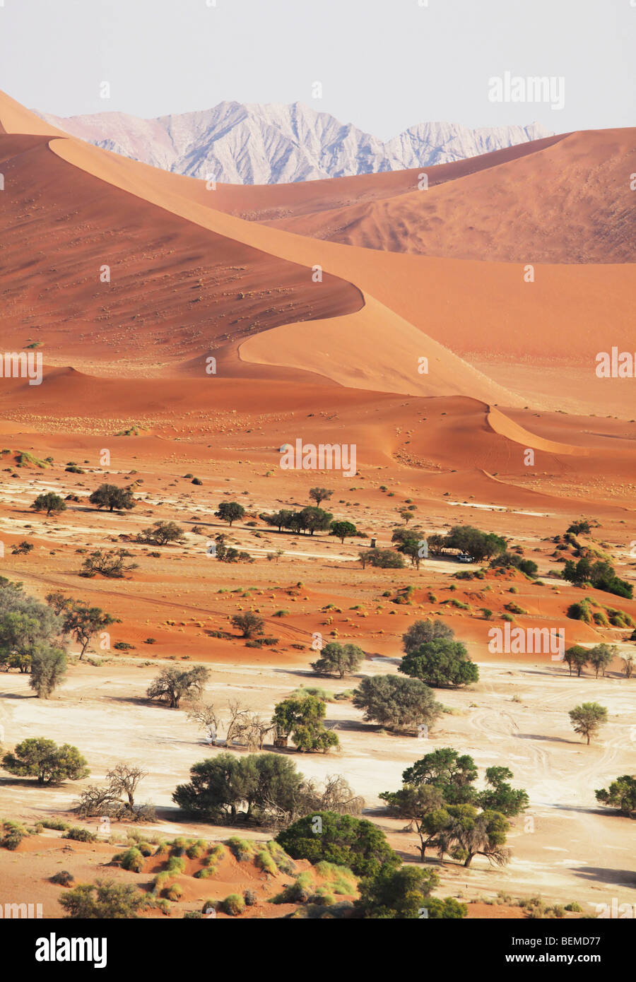Valley of the dead namibia hi-res stock photography and images - Alamy