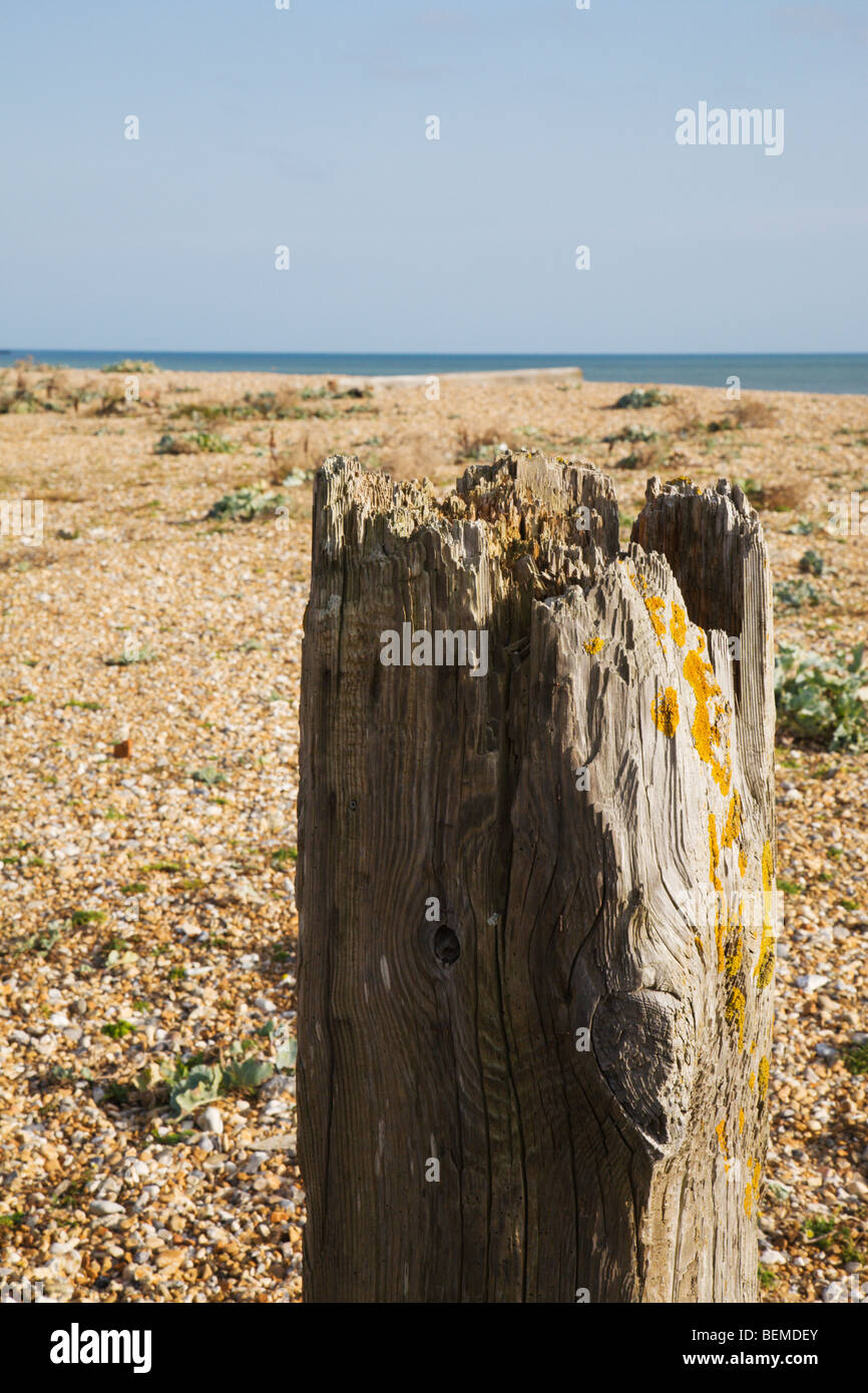 An old wooden post, remains of "Chailey Heritage Marine Hospital" near ...
