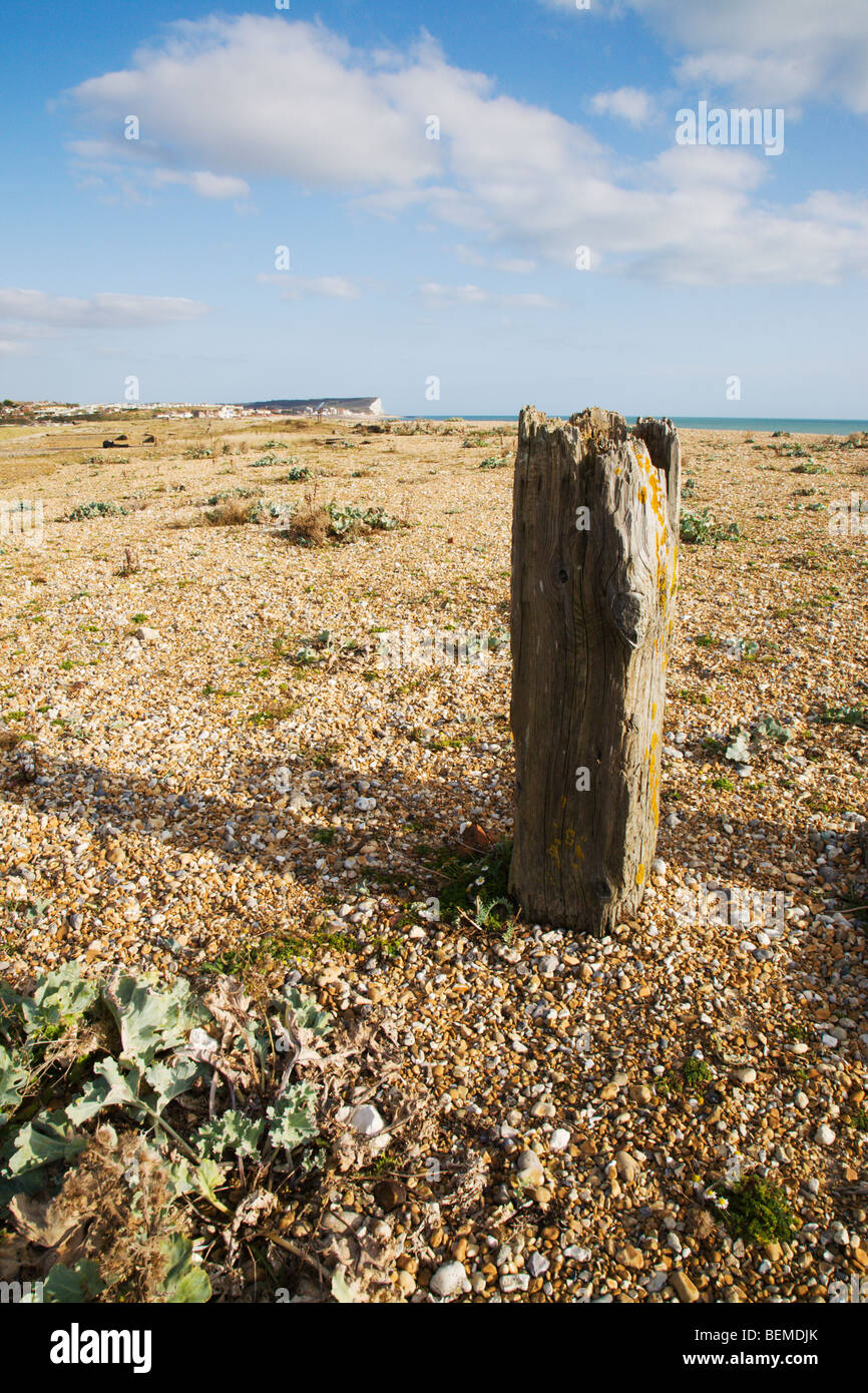 An old wooden post, remains of "Chailey Heritage Marine Hospital" near ...