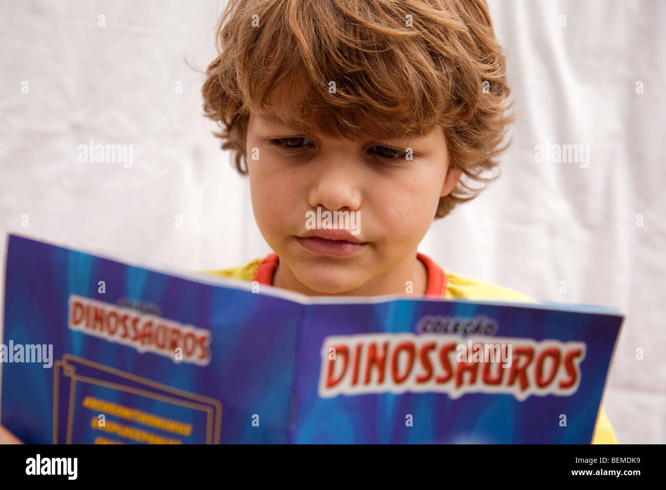 boy readying his dinosaurs book Stock Photo - Alamy
