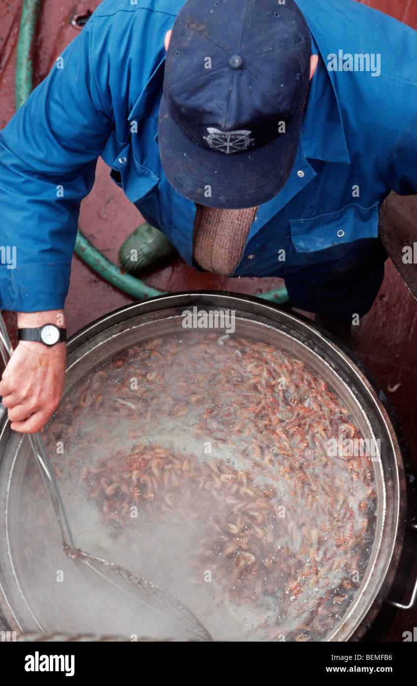 Man cooking fish on boat hi-res stock photography and images - Alamy