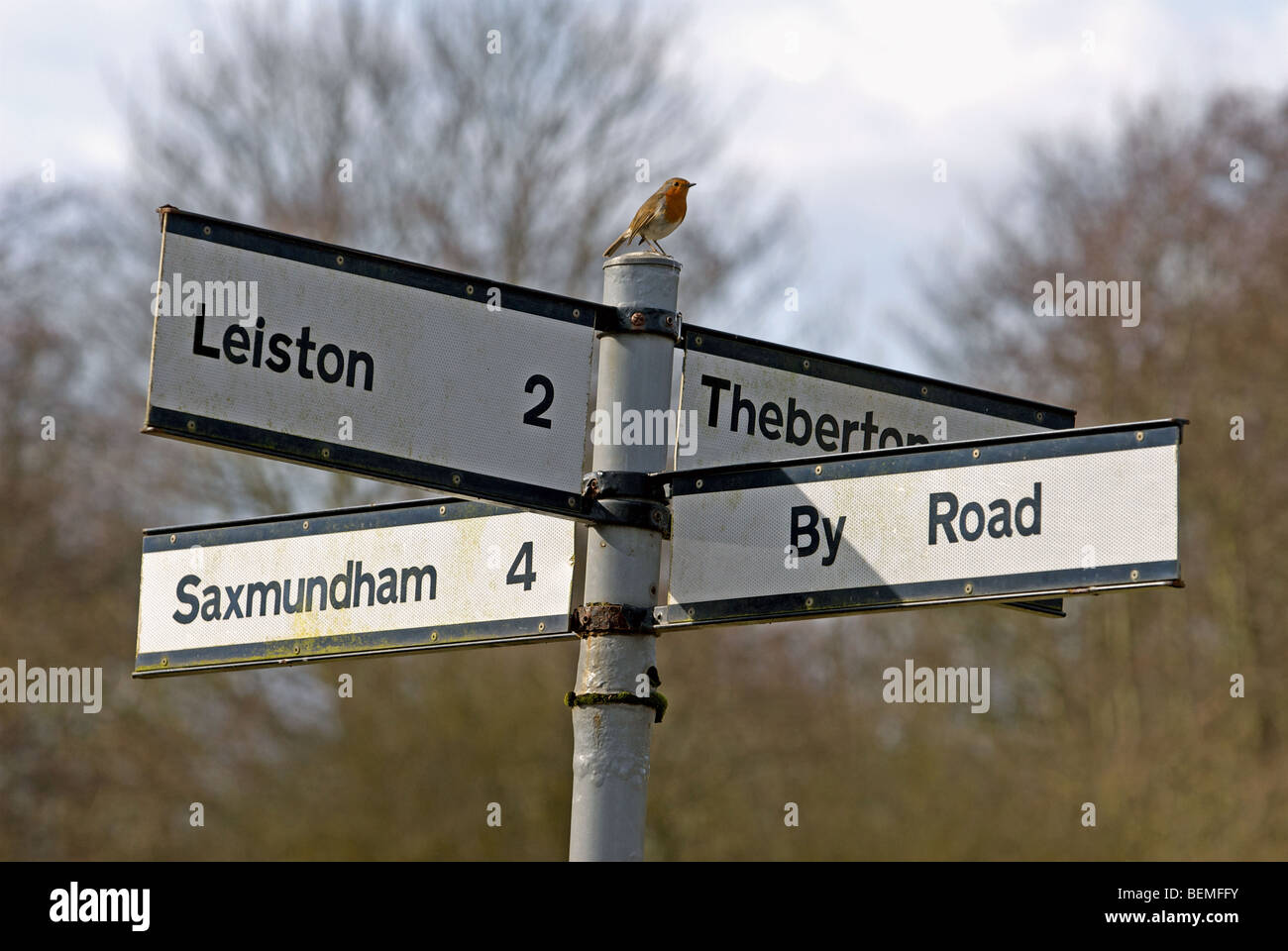 Robin sitting on sign hi-res stock photography and images - Alamy