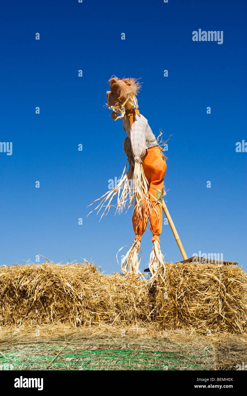 Scarecrow blue sky hi-res stock photography and images - Alamy