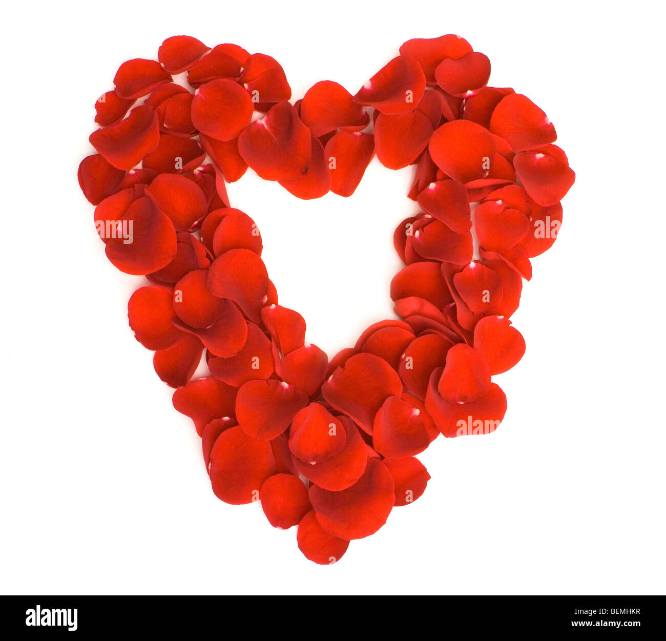 White red heart rose Cut Out Stock Images & Pictures - Alamy