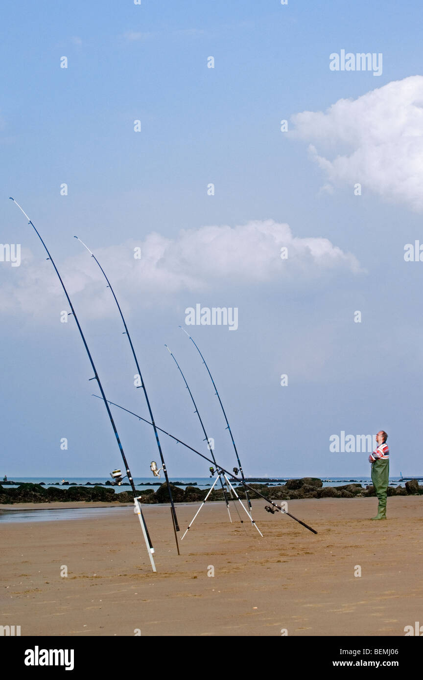Angler Fish Sea Beach High Resolution Stock Photography and Images - Alamy