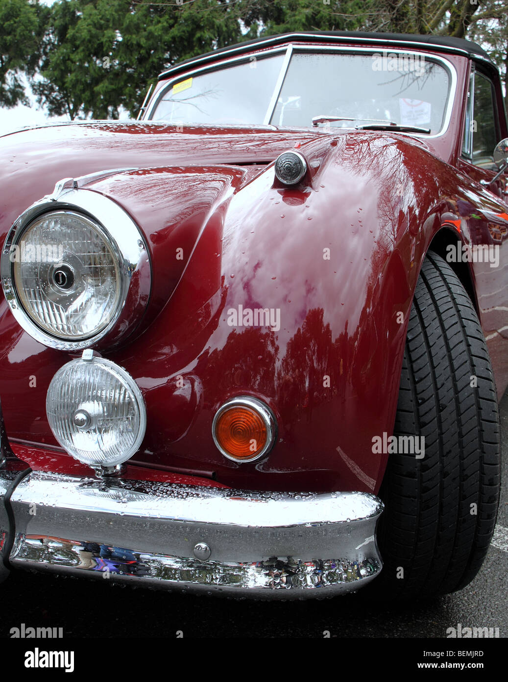 Jaguar xk 140 hi-res stock photography and images - Alamy