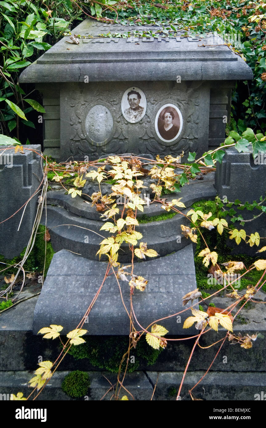 Old pictures on forgotten overgrown family grave / tomb covered in ...