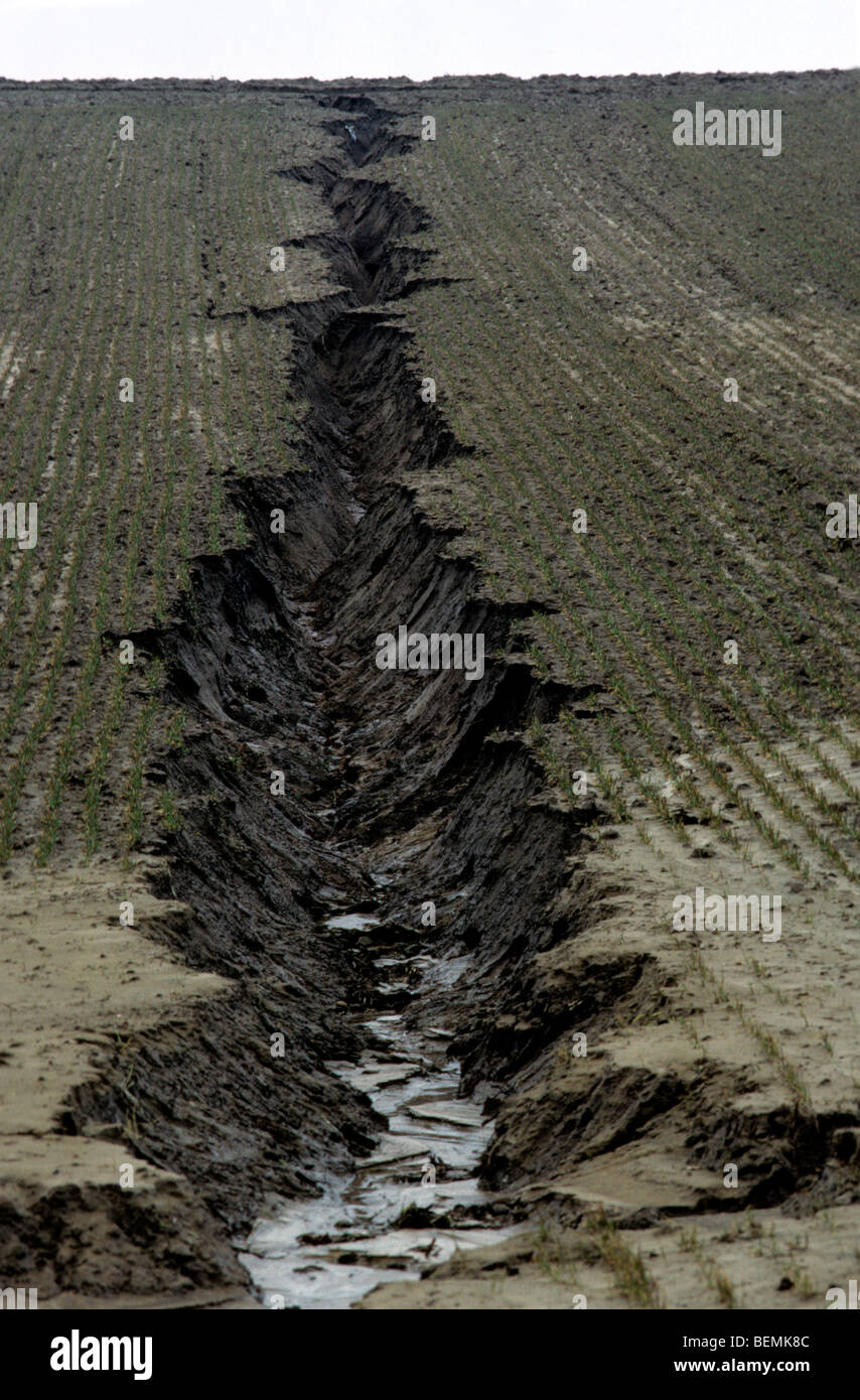 Gully in field caused by erosion of farmland by heavy rains washing ...